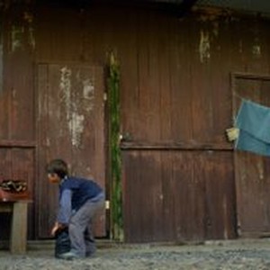 Running for Grace - Rotten Tomatoes