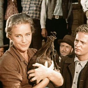 Ben Piazza - Rotten Tomatoes