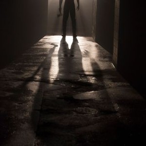 31 - Rotten Tomatoes