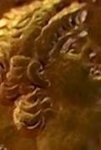 Ancients Behaving Badly: Season 1, Episode 6 | Rotten Tomatoes