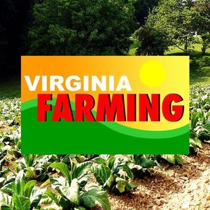 Virginia Farming - Rotten Tomatoes