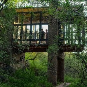 Home - Rotten Tomatoes