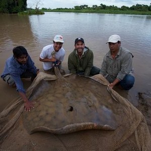 Zeb Hogan - Rotten Tomatoes