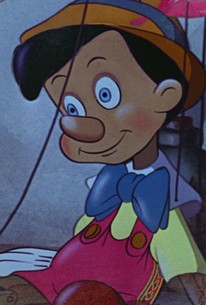 Zenimation: Season 2, Episode 4 | Rotten Tomatoes