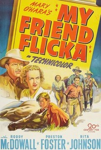 My Friend Flicka - Rotten Tomatoes