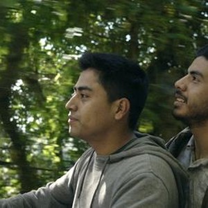 José - Rotten Tomatoes