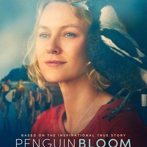 Penguin Bloom - Rotten Tomatoes