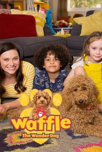 Waffle the Wonder Dog - Rotten Tomatoes
