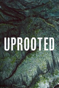 Uprooted: Season 1 | Rotten Tomatoes
