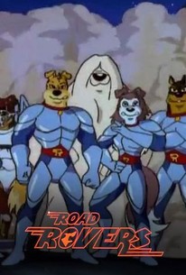 Road Rovers: Season 1 | Rotten Tomatoes