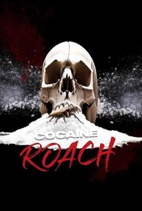 Cocaine Roach | Rotten Tomatoes