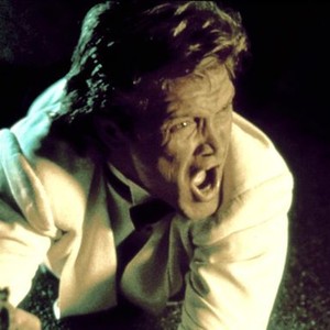 Andrew Stevens - Rotten Tomatoes