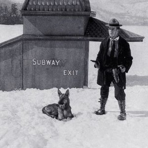 The Frozen North - Rotten Tomatoes