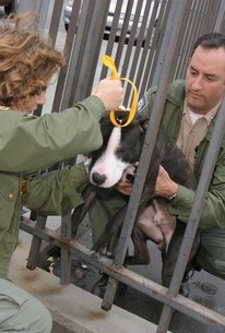 Animal Cops: Detroit: Season 6, Episode 6 | Rotten Tomatoes