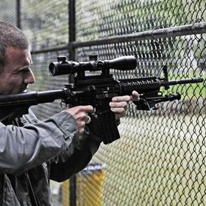 Dominic Purcell - Rotten Tomatoes