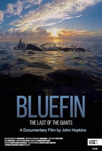 Bluefin | Rotten Tomatoes