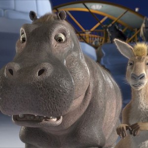 The Wild - Rotten Tomatoes