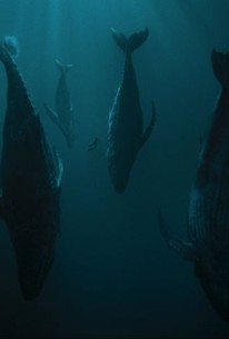 The Swarm: Season 1, Episode 3 | Rotten Tomatoes