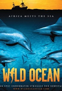 Wild Ocean | Rotten Tomatoes