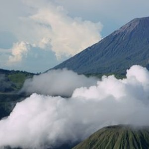 Into the Inferno - Rotten Tomatoes