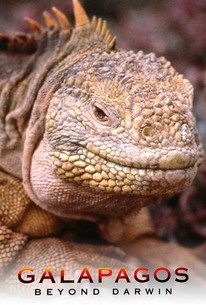 Galapagos: Beyond Darwin | Rotten Tomatoes
