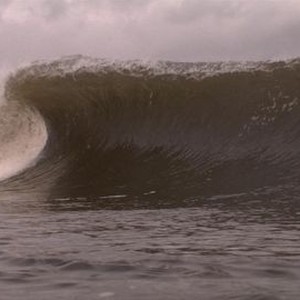 Shored Up - Rotten Tomatoes