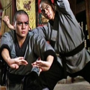 The Treasure Hunters - Rotten Tomatoes