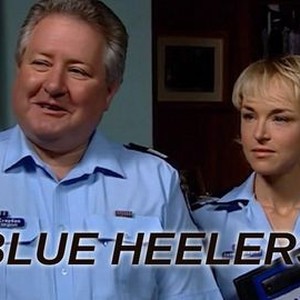 Blue Heelers - Rotten Tomatoes