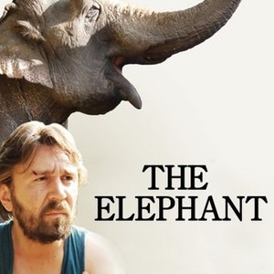 Rotten Tomatoes: Movies | TV Shows | Movie Trailers | Reviews - Rotten ...