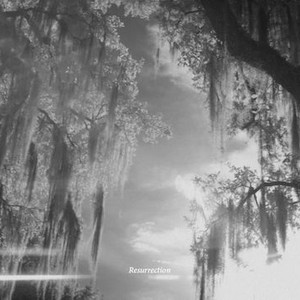 Lemonade - Rotten Tomatoes