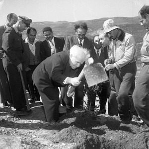 Blue Box - Rotten Tomatoes