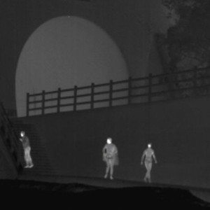 The Cove - Rotten Tomatoes