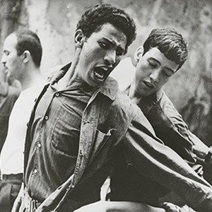 The Battle of Algiers - Rotten Tomatoes
