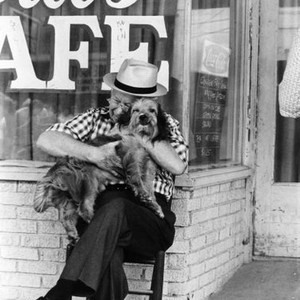 Edgar Buchanan - Rotten Tomatoes