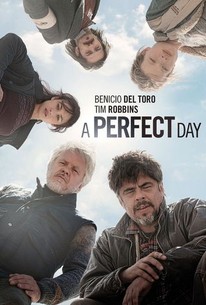 A Perfect Day - Rotten Tomatoes