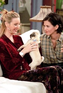 Friends: Season 4, Episode 11 | Rotten Tomatoes