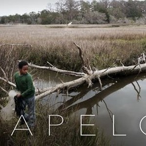 Sapelo - Rotten Tomatoes