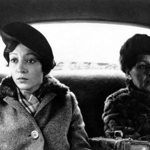 Vera Pap - Rotten Tomatoes