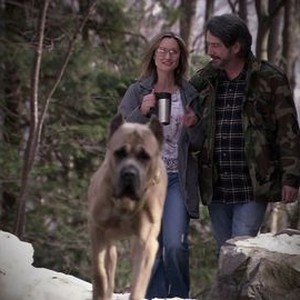Ice Cold Killers: Season 1, Episode 6 - Rotten Tomatoes