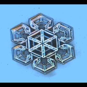 Secret of Water - Rotten Tomatoes