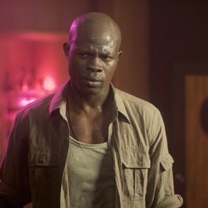 Elephant White - Rotten Tomatoes