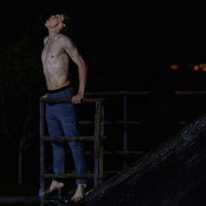 Wolf - Rotten Tomatoes