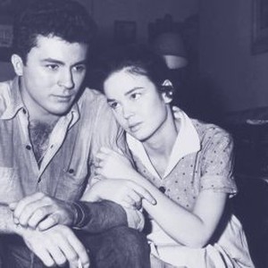 The Brothers Rico - Rotten Tomatoes