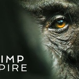 Chimp Empire - Rotten Tomatoes