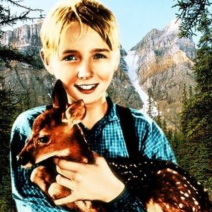 The Yearling - Rotten Tomatoes