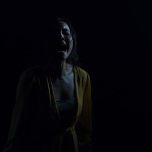 The Free Fall - Rotten Tomatoes