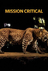 Mission Critical: Season 1 | Rotten Tomatoes