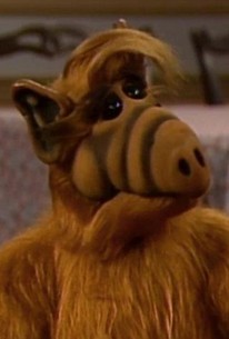 ALF: Season 4, Episode 20 | Rotten Tomatoes