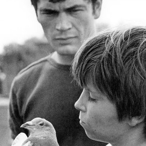 Medium Cool - Rotten Tomatoes