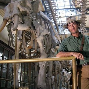 Digging for the Truth - Rotten Tomatoes